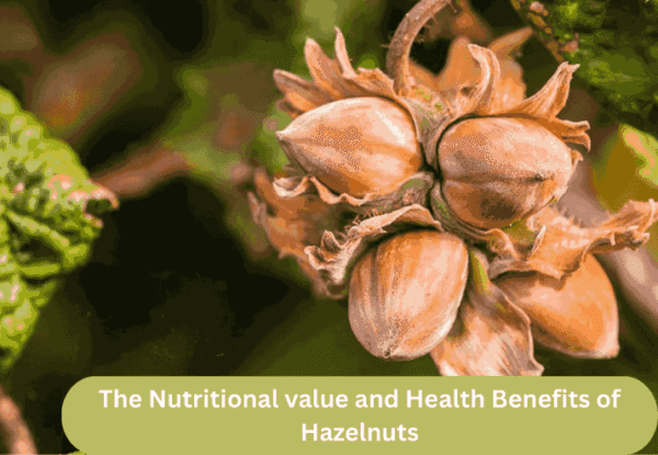 The Nutritional value and Health Benefits of Hazelnuts | PrimeNuts Blog